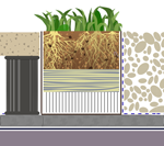 Purple-Roof's Green Roof Construction Specifications