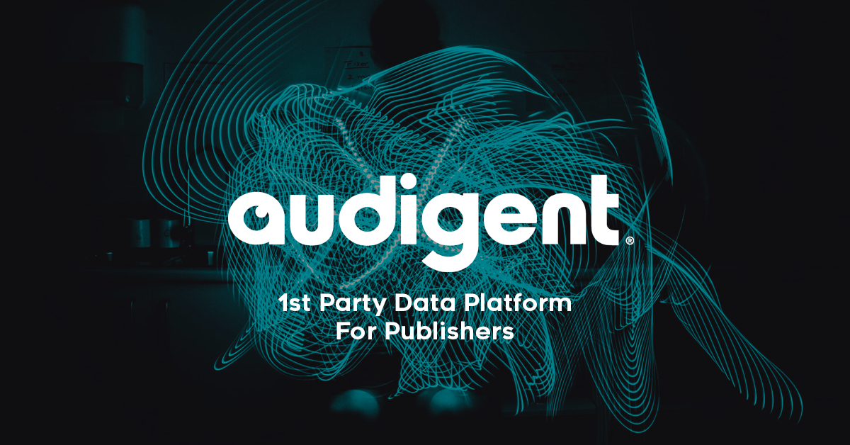 Data Platform | Audigent | The Leading Data Activation, Curation and ...