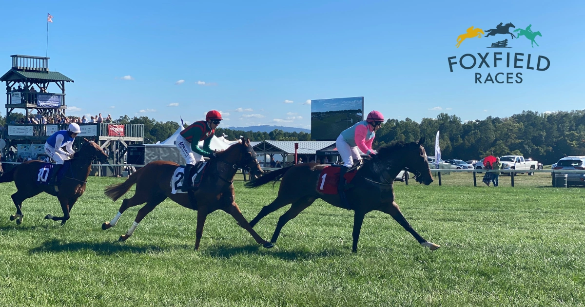 2025 Foxfield Fall Races | Flow Automotive in Charlottesville