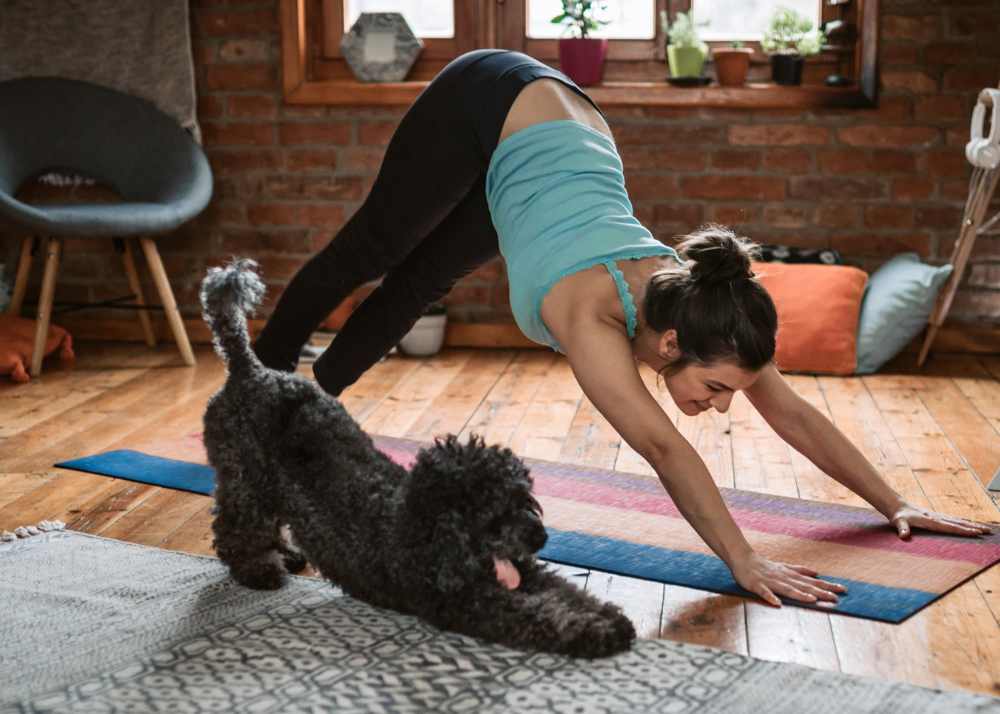 Namaste, Puppies: Practice Yoga For Dogs at a Doga Class - Pawrade.com