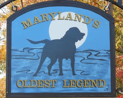 5 Scary Dog Ghost Stories to Tell in the Dark This Howl-O-Ween ...